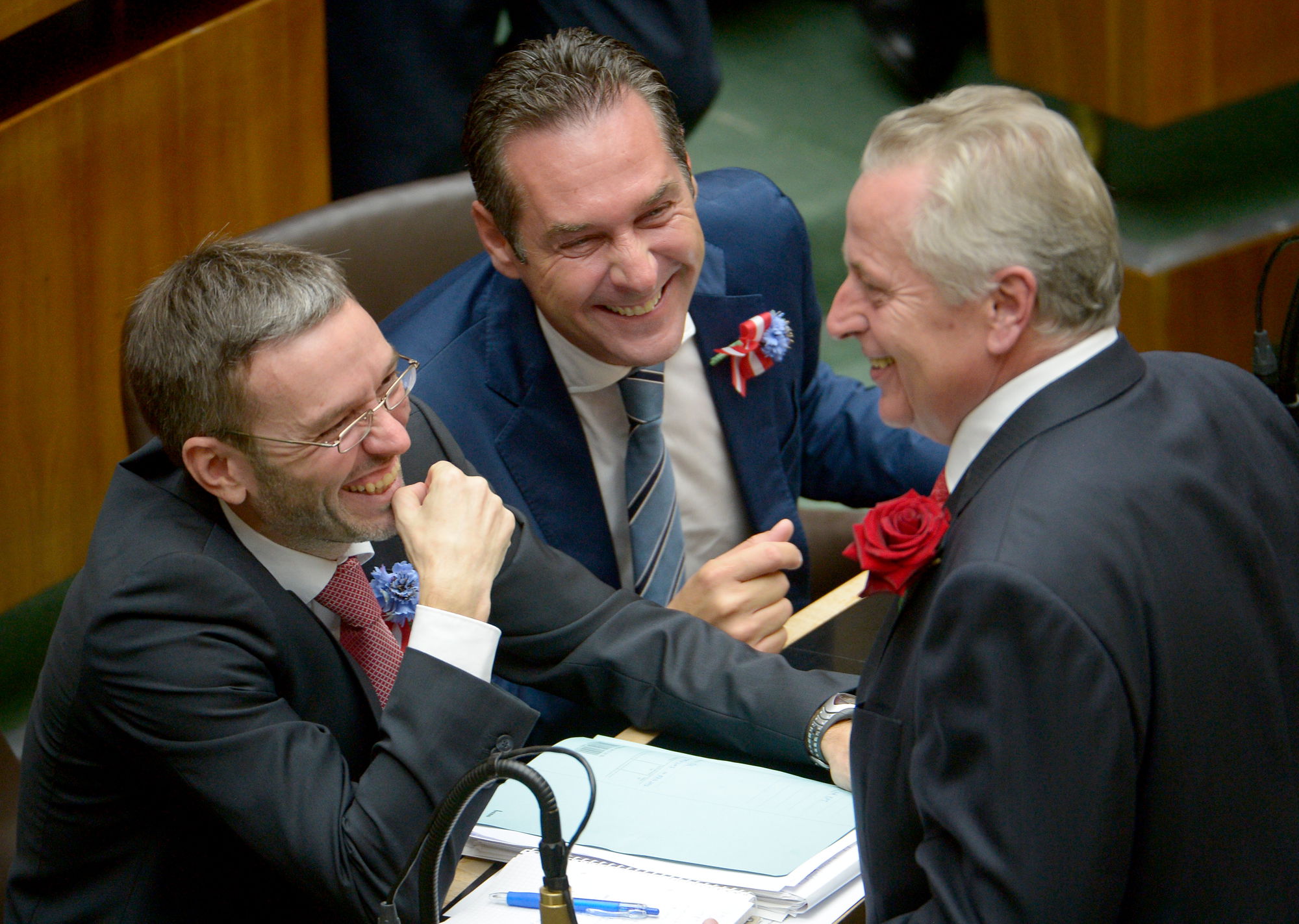 Kornblume, Edelweiß oder blaue Distel? - FALTER