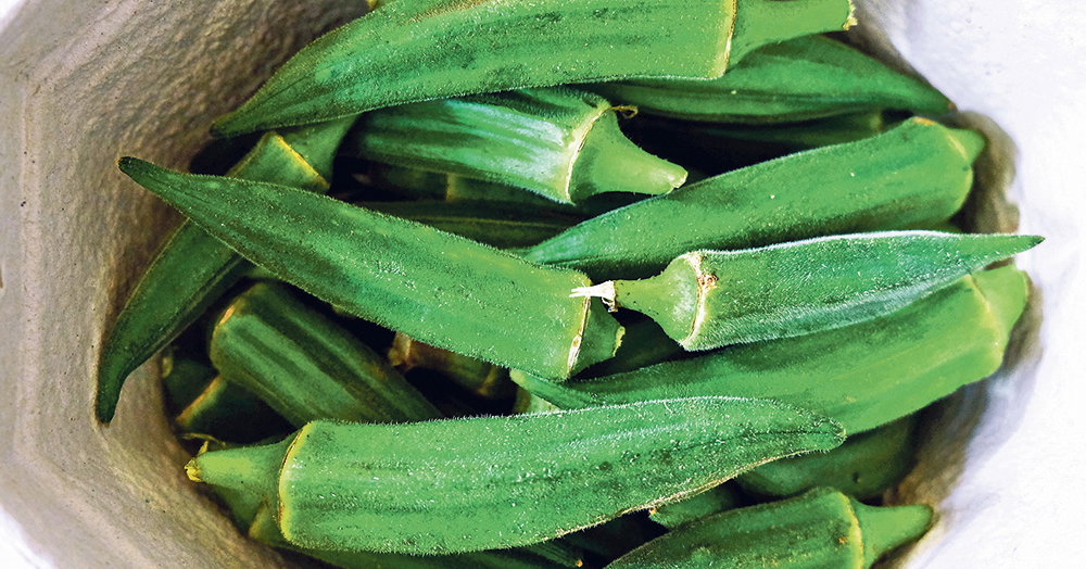 Was Sie über Okras wissen müssen - FALTER