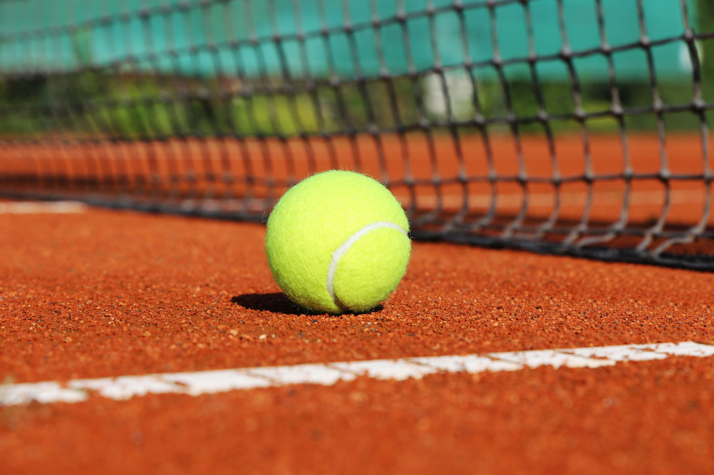 Weihnachten: 10 ziemlich großzügige Geschenktipps - FALTER