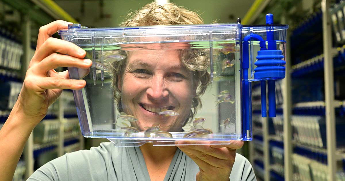 Entwicklungsbiologin Andrea Pauli: Die Herrin der Fische - FALTER