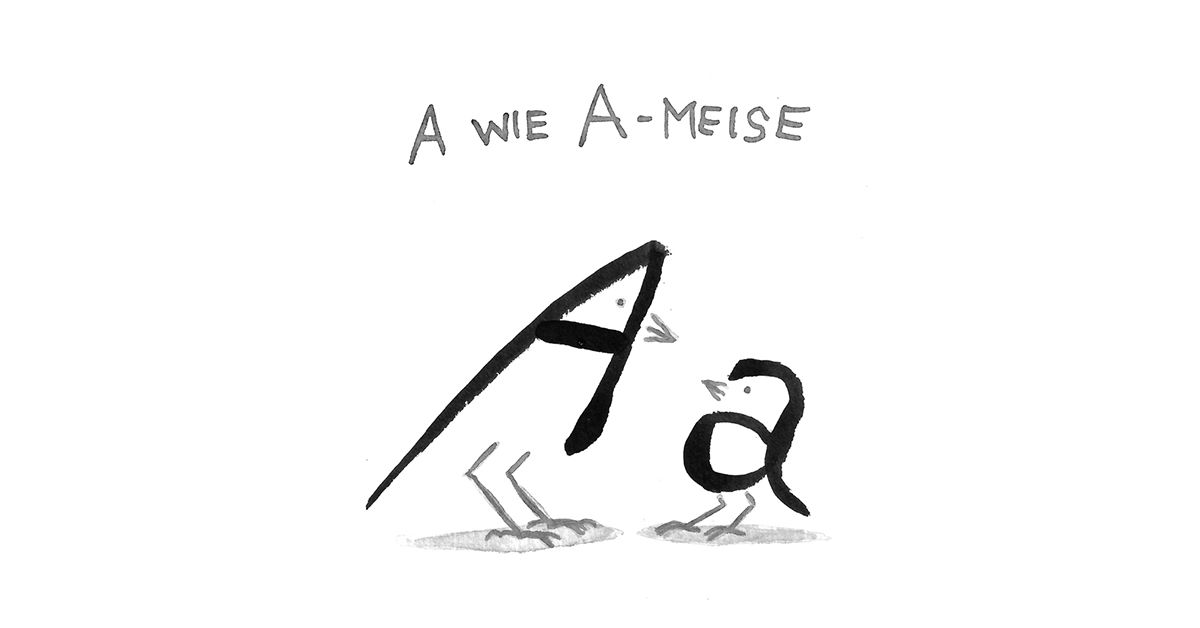 Regeln braucht das Land - FALTER