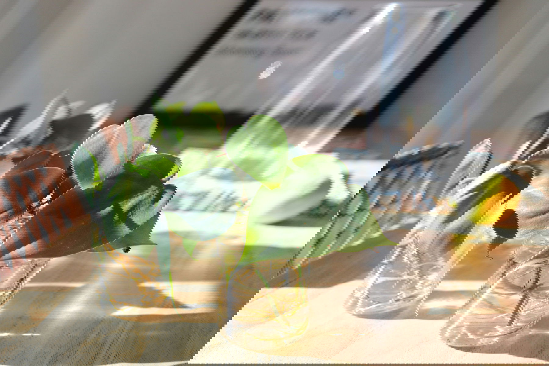 Neue Mumok-Chefin Fatima Hellberg: Wer sie ist und was sie will - FALTER