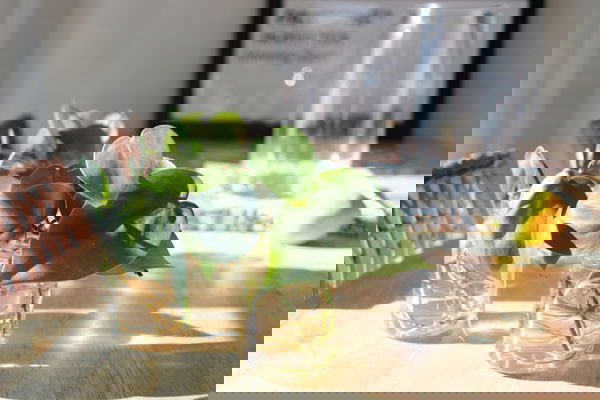 Neue Mumok-Chefin Fatima Hellberg: Wer sie ist und was sie will - FALTER