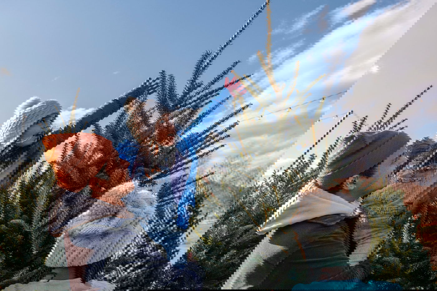 Wunderglocke, Kurzfilme und weihnachtlicher Zoo - FALTER