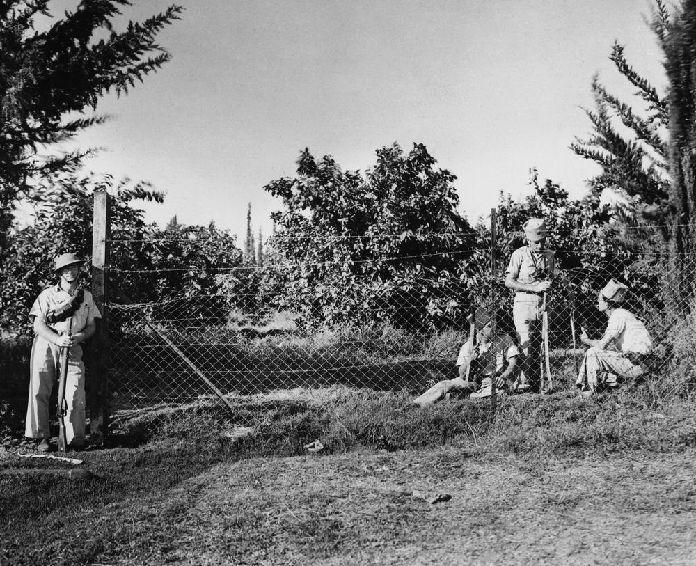 Pflichtlektüre: Das Buch zu Israel/Palästina, das Sie gelesen haben ...