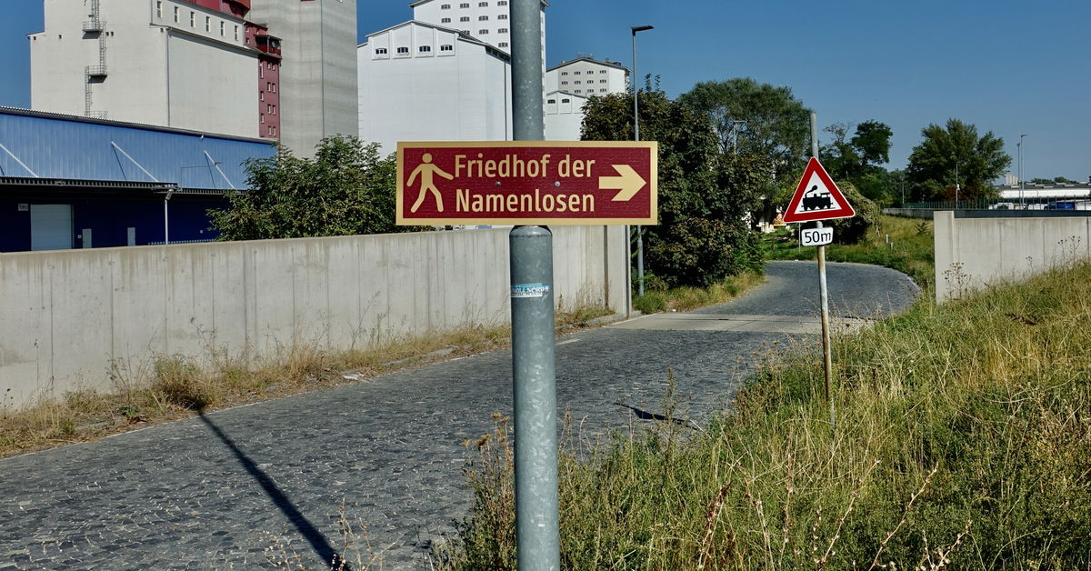 These Shoes are Made for Walking - FALTER