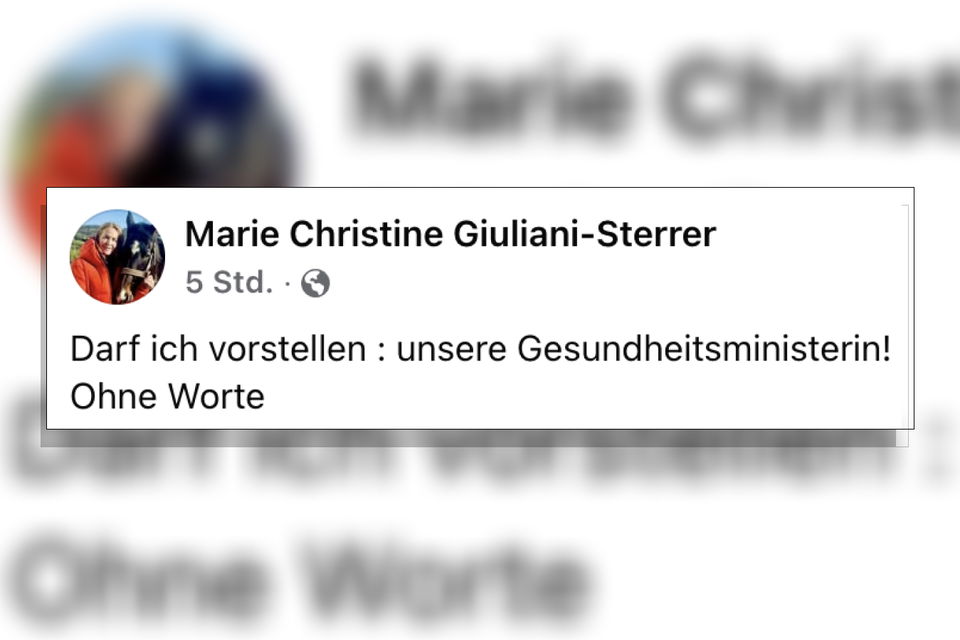 Florian Klenk - FALTER