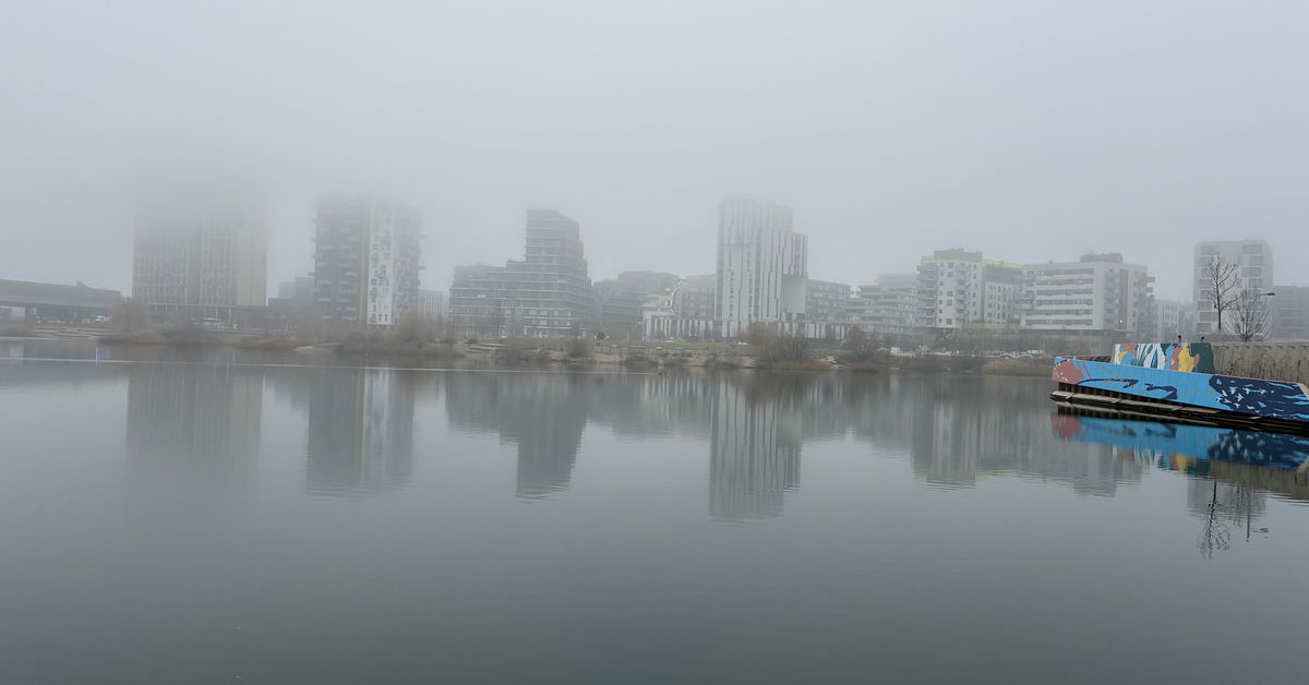 Weihnachten & Wetter: Was Sie schenken könnten - FALTER