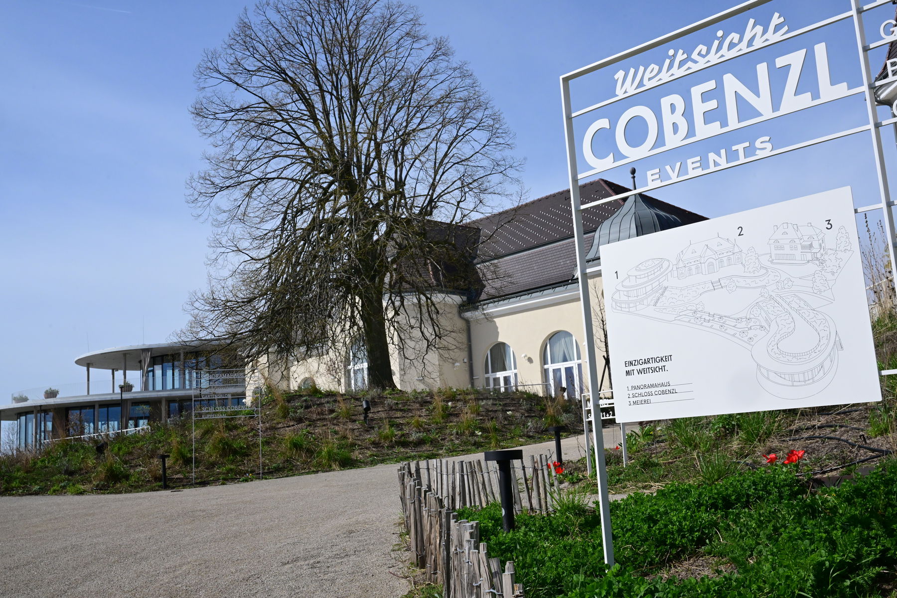 Rot-Pink: Wer ist die neue SPÖ-Finanzstadträtin Barbara Novak? - FALTER