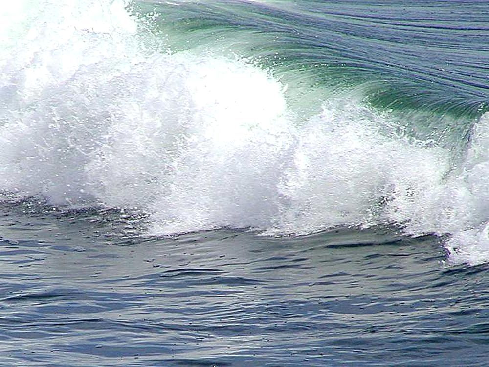 Meeresschutz: Wenn ich den See sehe, brauche ich kein Meer mehr? - FALTER