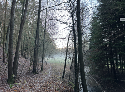 Ich wollte nur sagen, es geht mir gut, danke. - FALTER