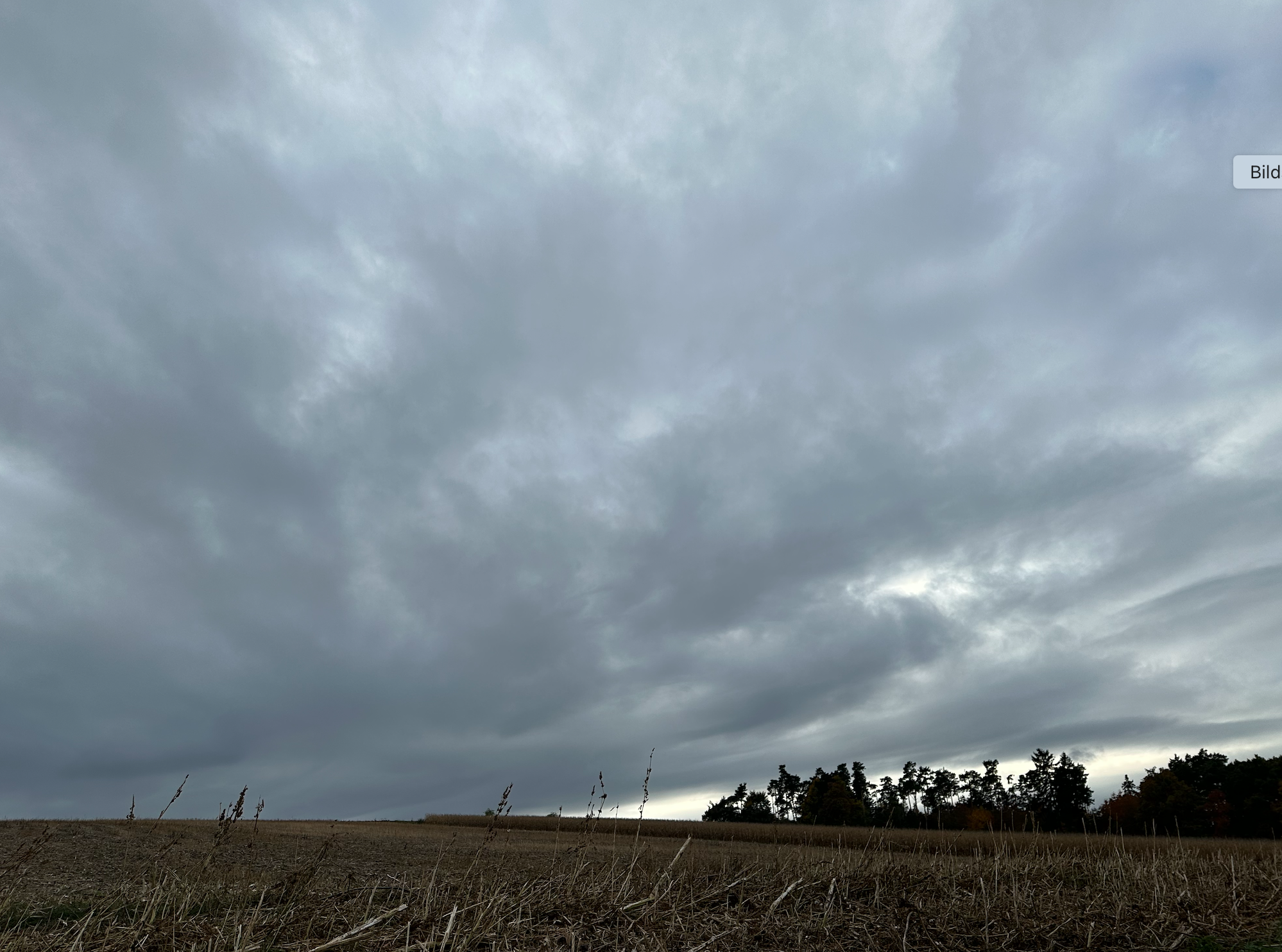 "Der riskante Eindruck sehr starker Schönheit." - FALTER