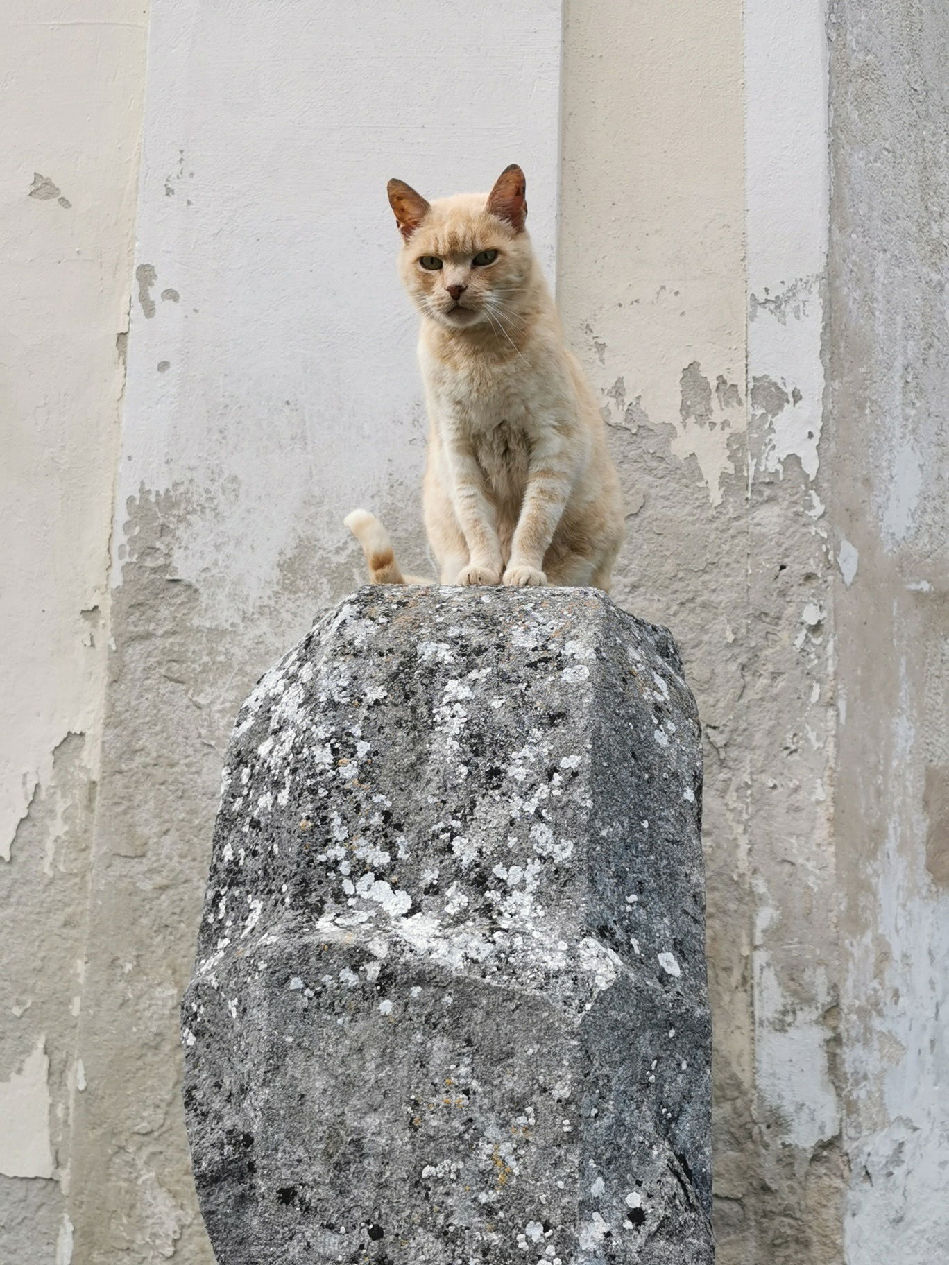 Armin Thurnhers Seuchenkolumne #1113 - Maul halten, Hände falten ...