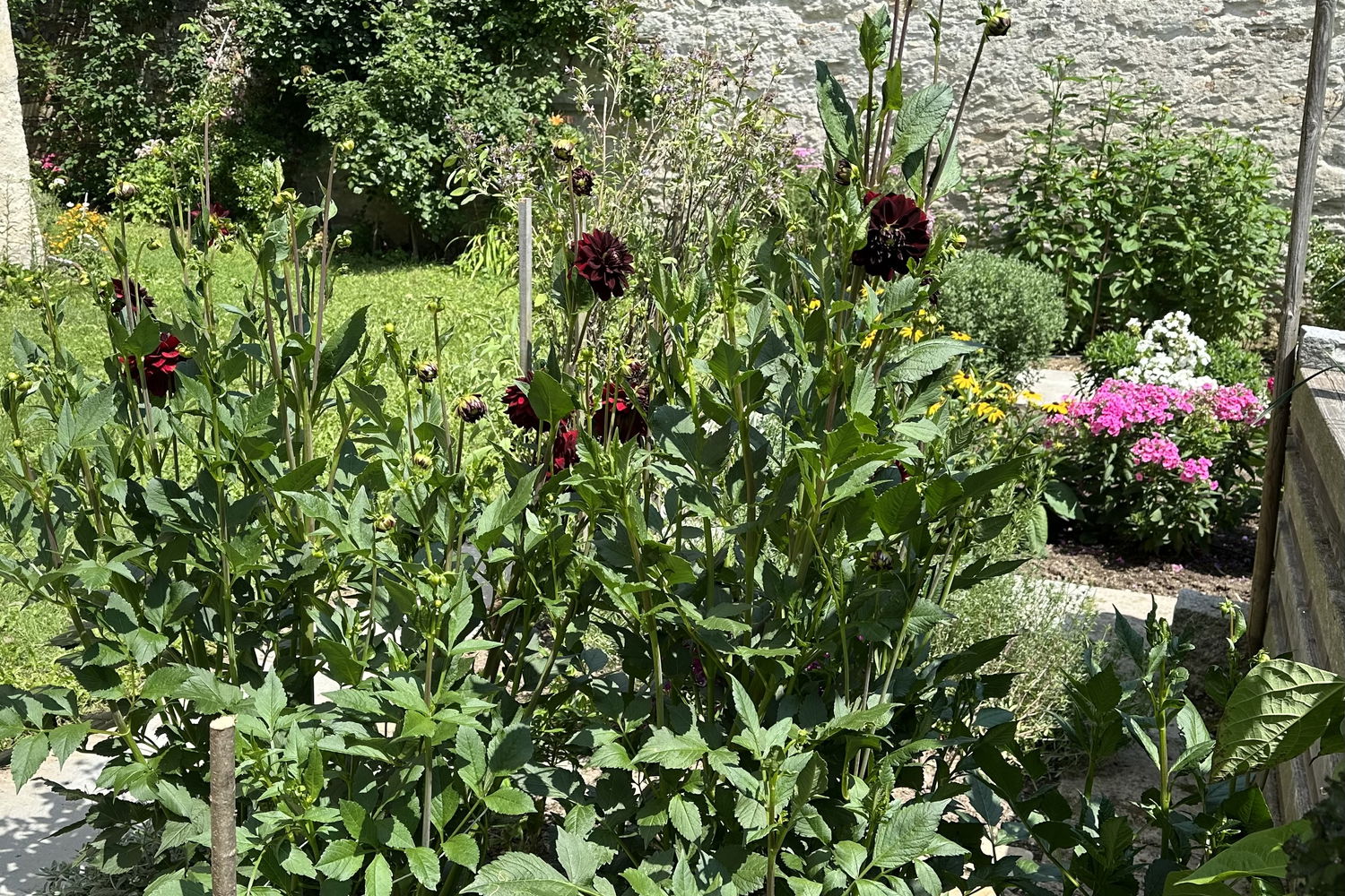 „Fall“ Gewessler: Wer hier die Rechtsbrecher sind. - FALTER