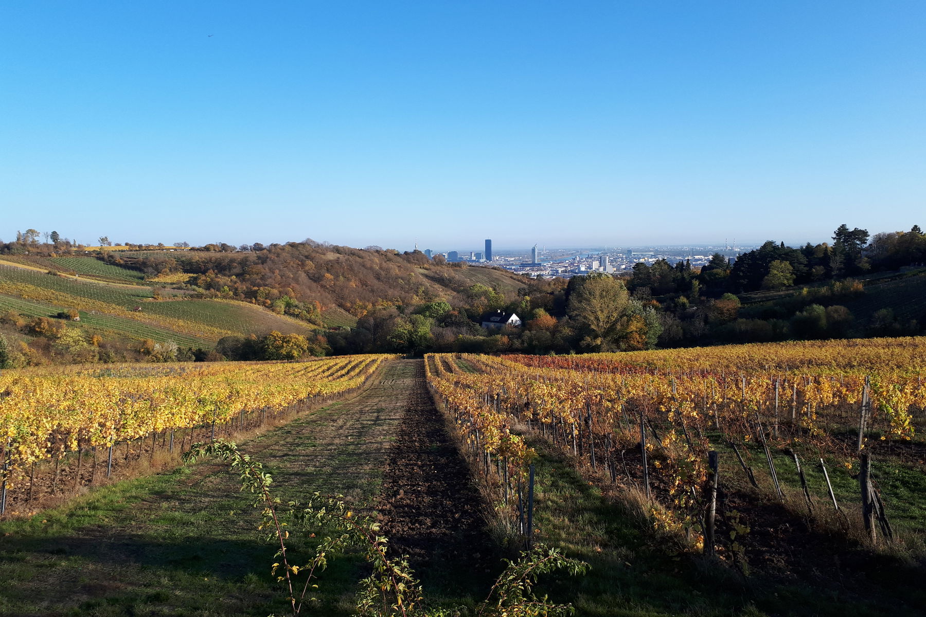 NENI am Wasser - FALTER