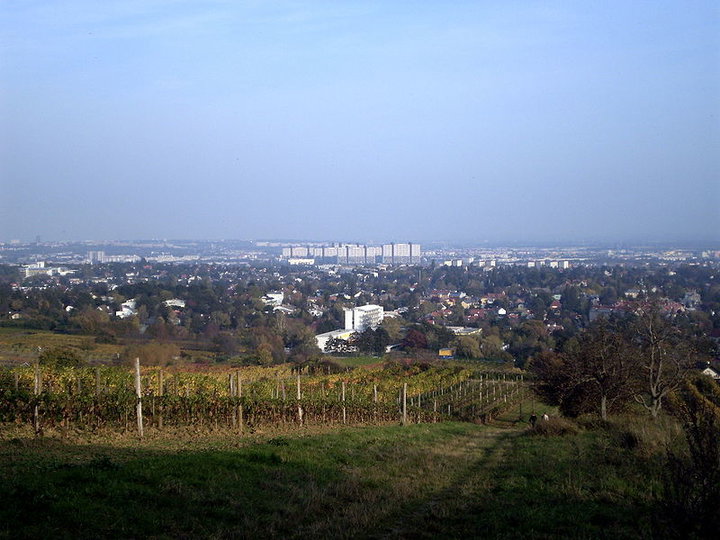 Liesing: Die besten Lokale im 23. Bezirk - FALTER