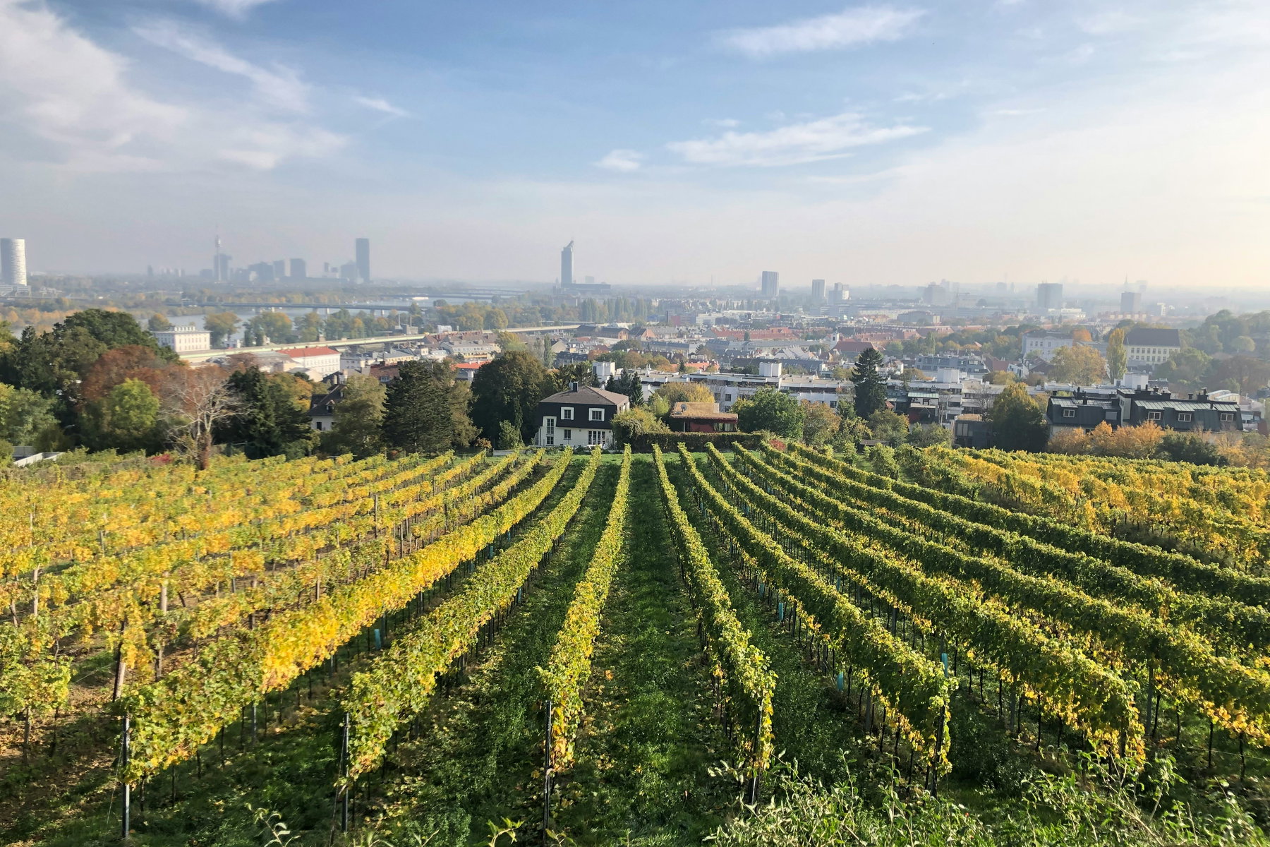 Kleinod am Ring - FALTER