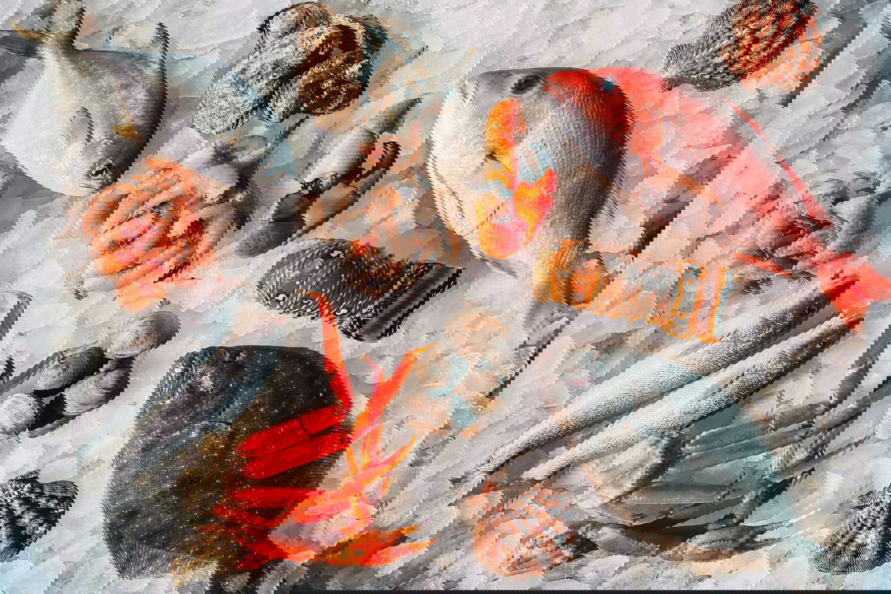 KitchA – Sticks & Rolls - FALTER