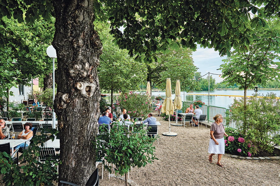 Lokaltipps im 22. Bezirk - FALTER